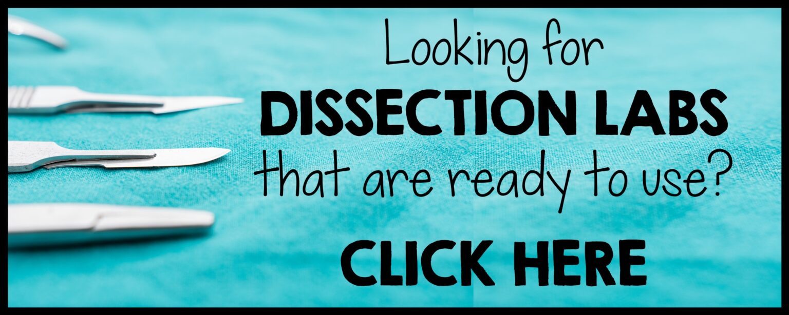 Dissection Lab Tips for Teachers - Suburban Science