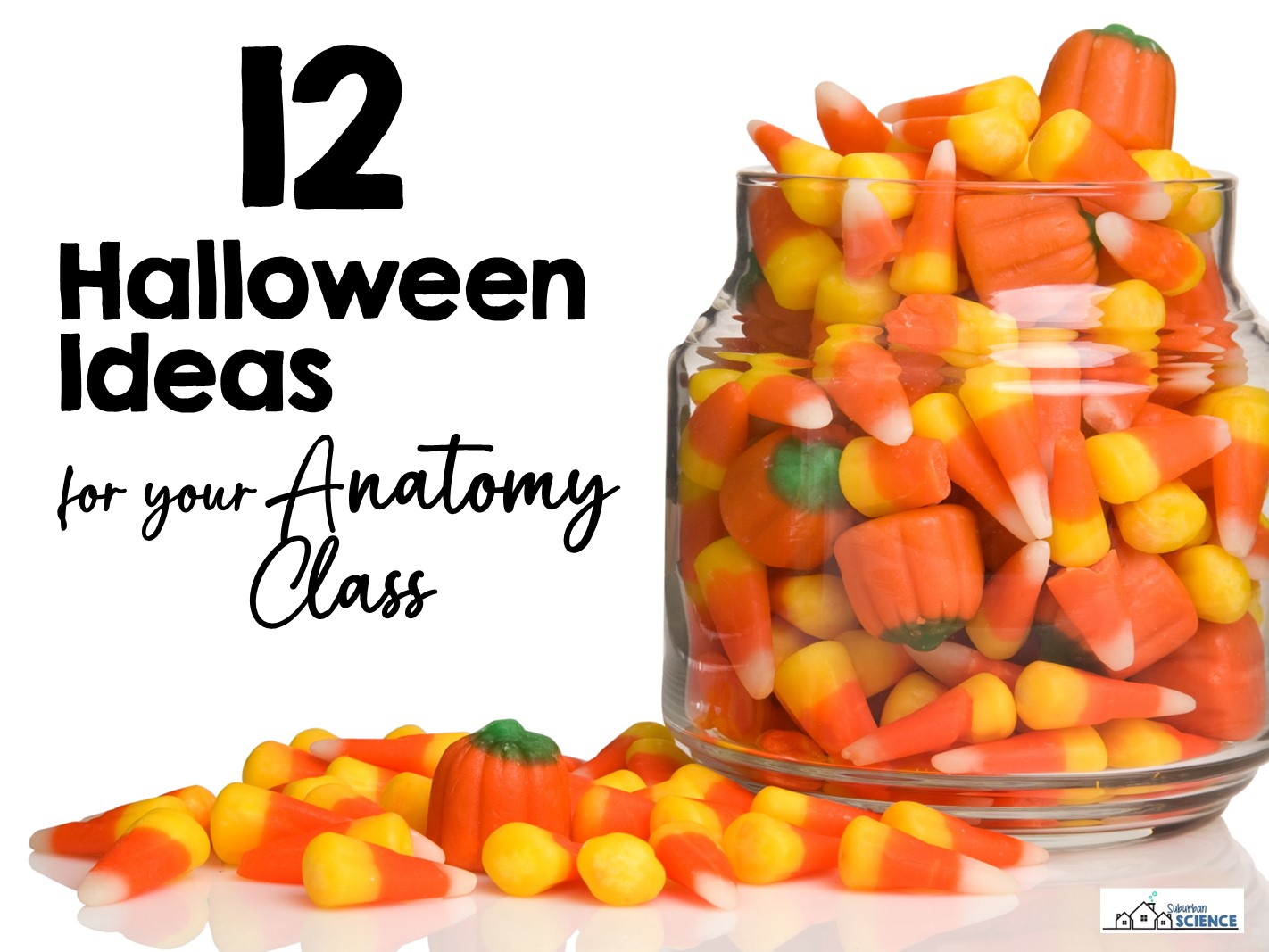 12 Halloween Ideas For Your Anatomy Class - Suburban Science