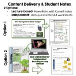 Food Chain & Ecology Unit - Suburban Science