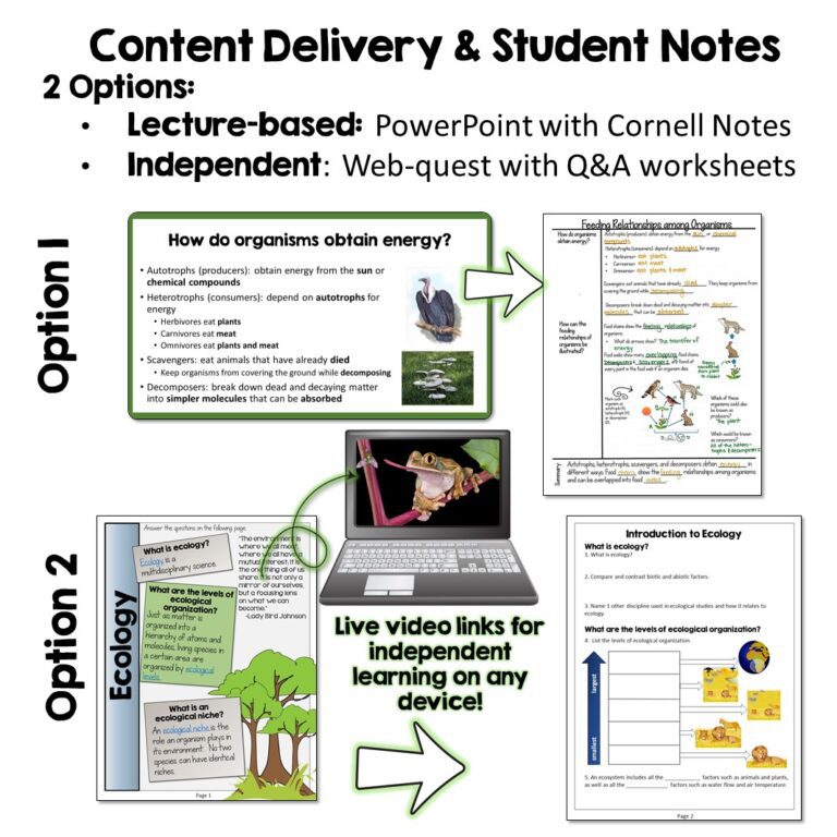 Food Chain & Ecology Unit - Suburban Science