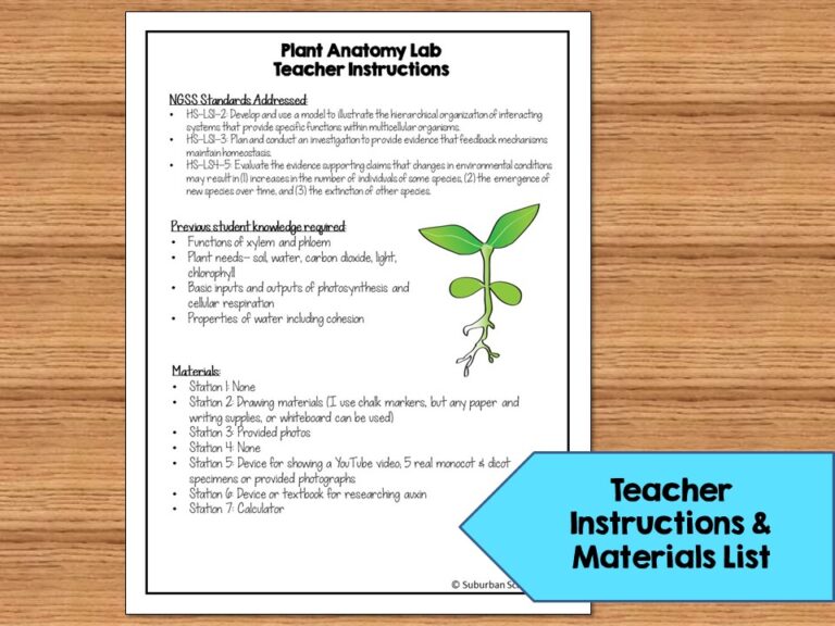 Plant Anatomy Lab Stations - Suburban Science