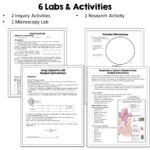 Respiratory System Unit - Suburban Science