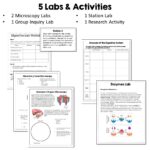 Digestive System Unit - Suburban Science