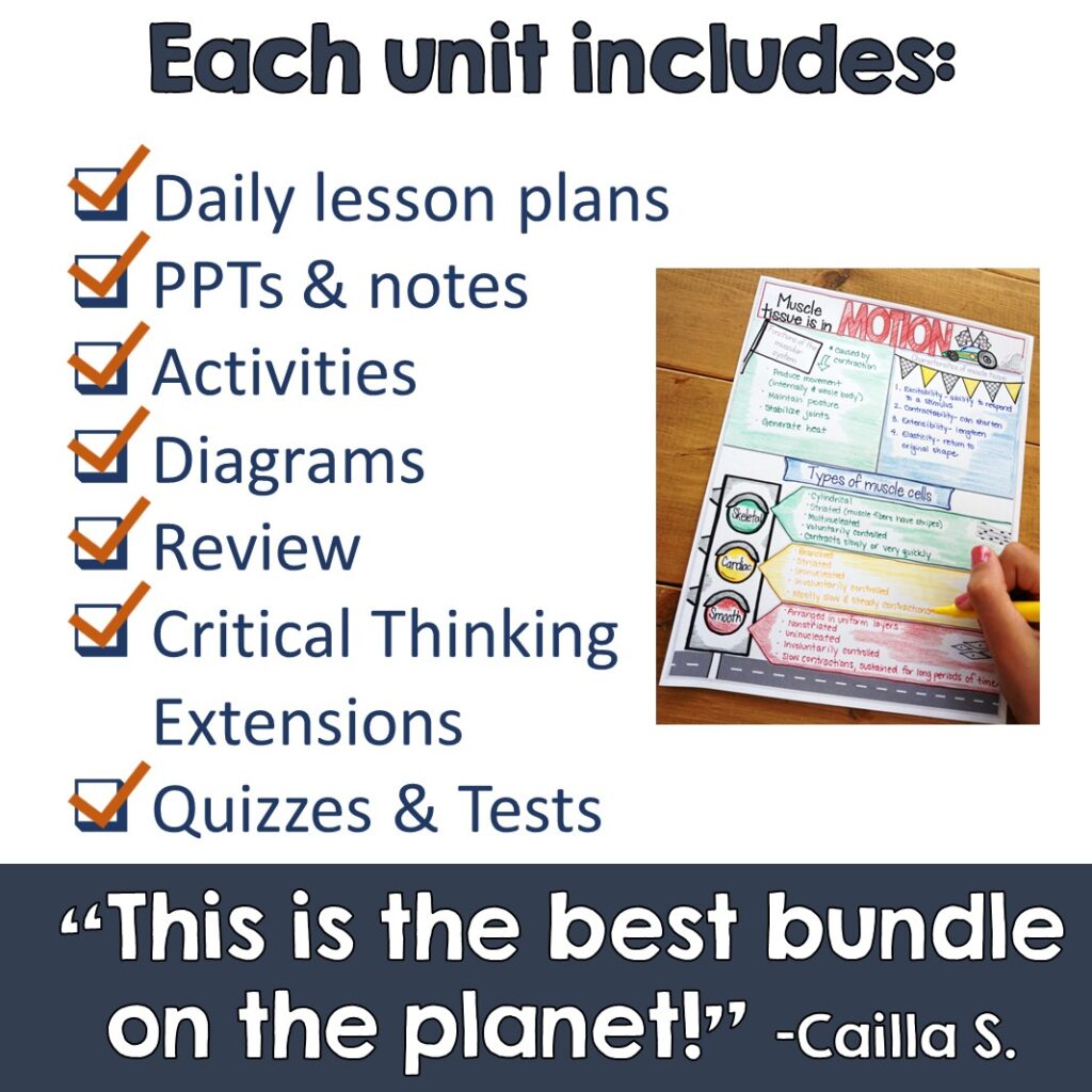 Full-Year Anatomy and Physiology Curriculum - Suburban Science