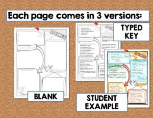 Environmental Science Doodle Notes Bundle - Suburban Science