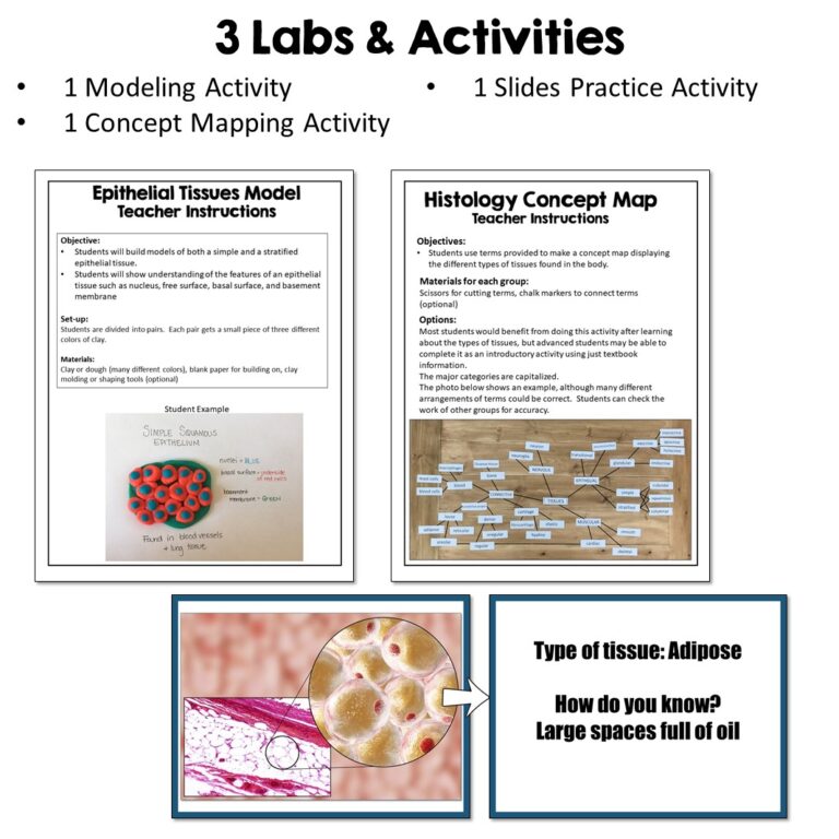 Human Histology Unit - Suburban Science