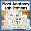 Plant Anatomy Lab Stations - Suburban Science