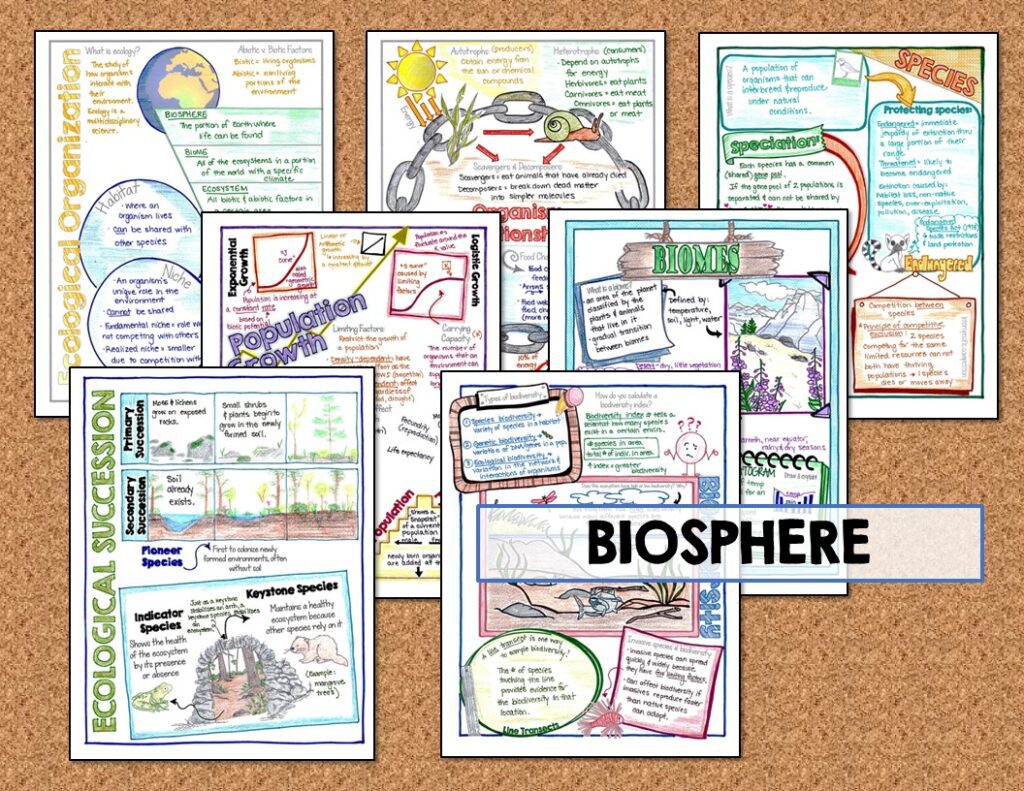 Environmental Science Doodle Notes Bundle - Suburban Science