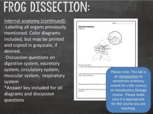 Frog Dissection Lab - Suburban Science