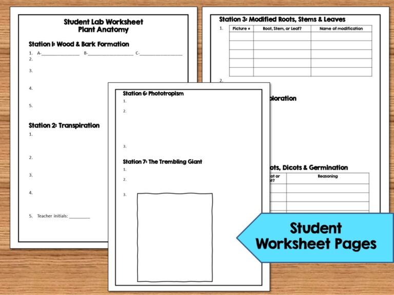 Plant Anatomy Lab Stations - Suburban Science