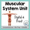 Muscular System Unit - Suburban Science