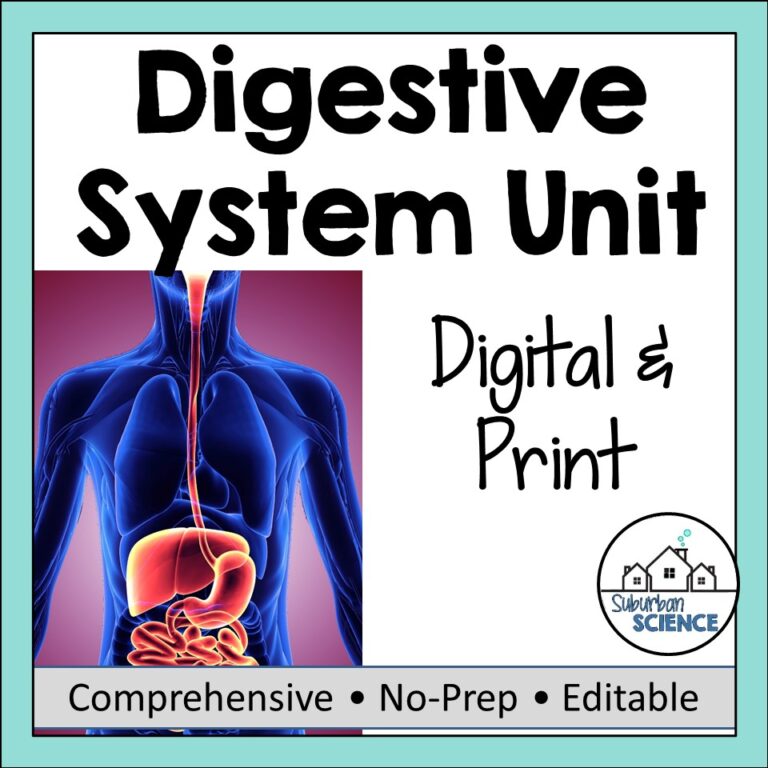 Digestive System Unit - Suburban Science