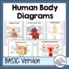 Human Body Systems Diagrams - Suburban Science