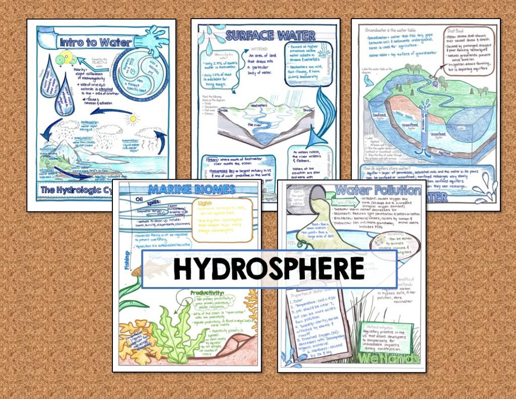 Environmental Science Doodle Notes Bundle - Suburban Science