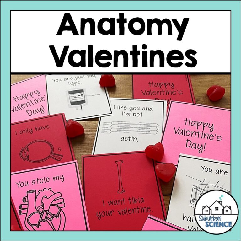 FREE Anatomy Valentines - Suburban Science