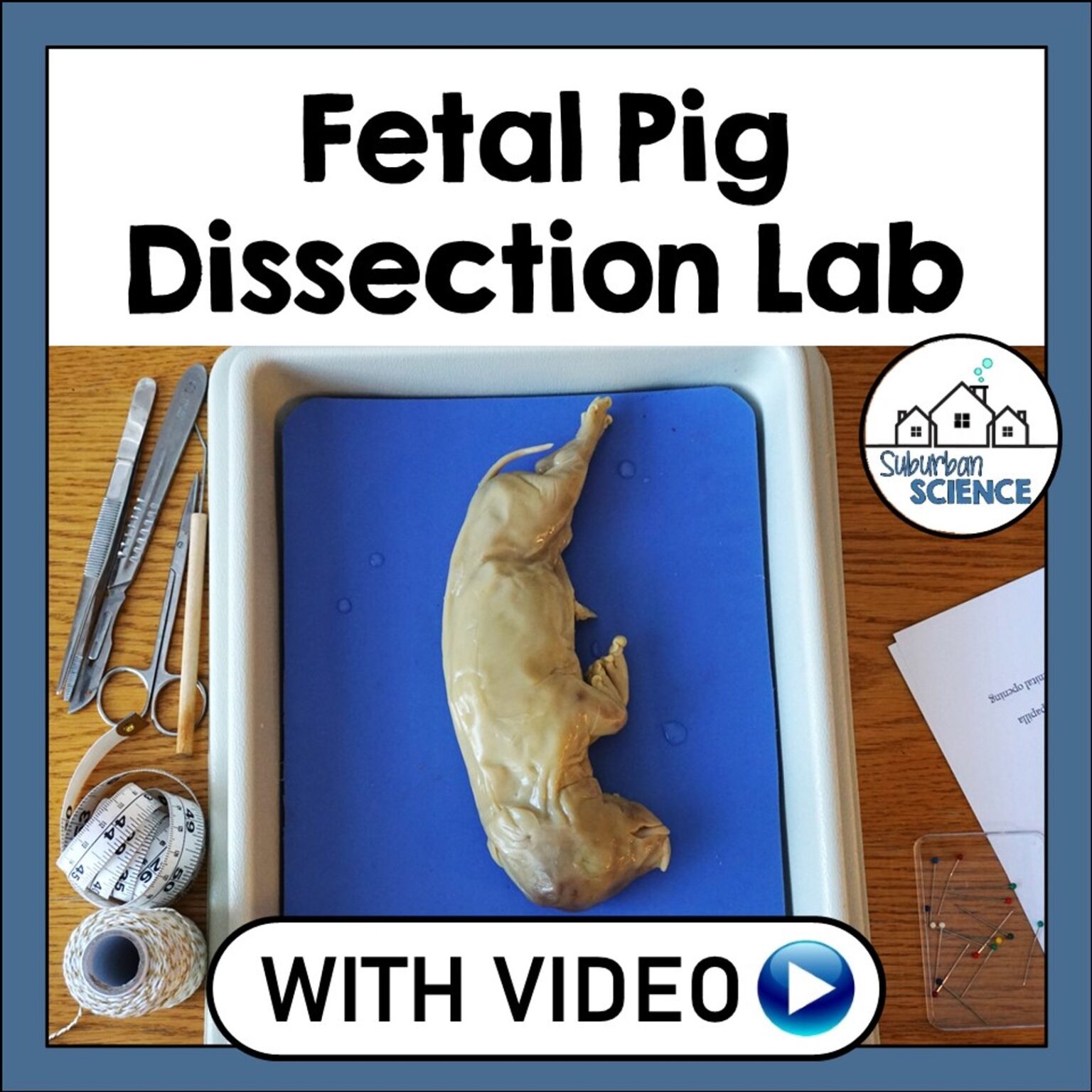 Fetal Pig Dissection Lab - Suburban Science