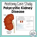 Anatomy Case Study - Polycystic Kidney Disease - Suburban Science
