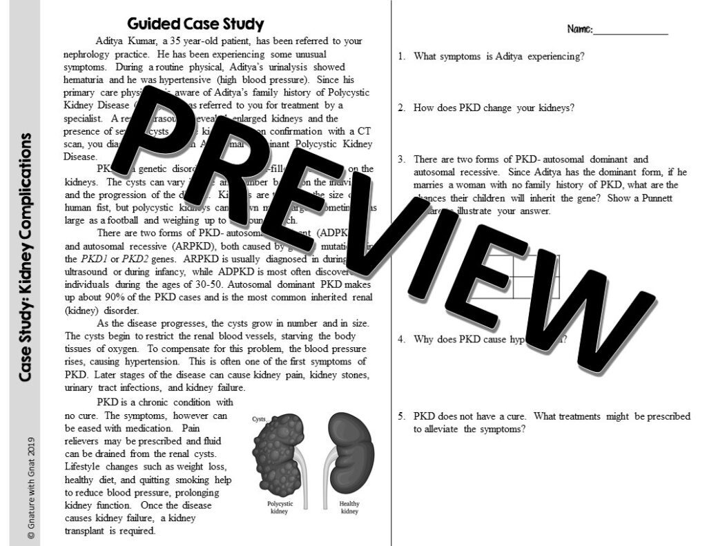 Anatomy Case Study - Polycystic Kidney Disease - Suburban Science