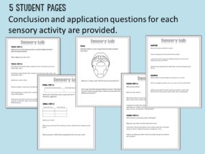 Five Senses Lab Activity - Suburban Science