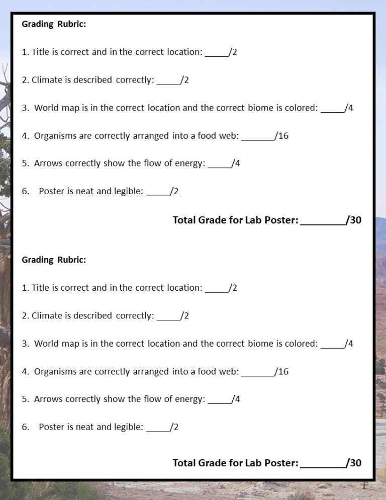 Food Web Project for World Biomes - Suburban Science