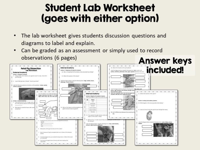 Fetal Pig Dissection Lab - Suburban Science