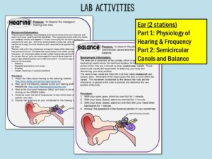 Five Senses Lab Activity - Suburban Science