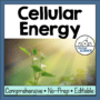 Unit 4- ATP, Photosynthesis and Cellular Respiration - Suburban Science