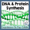 Unit 7- DNA and Protein Synthesis Lesson - Suburban Science