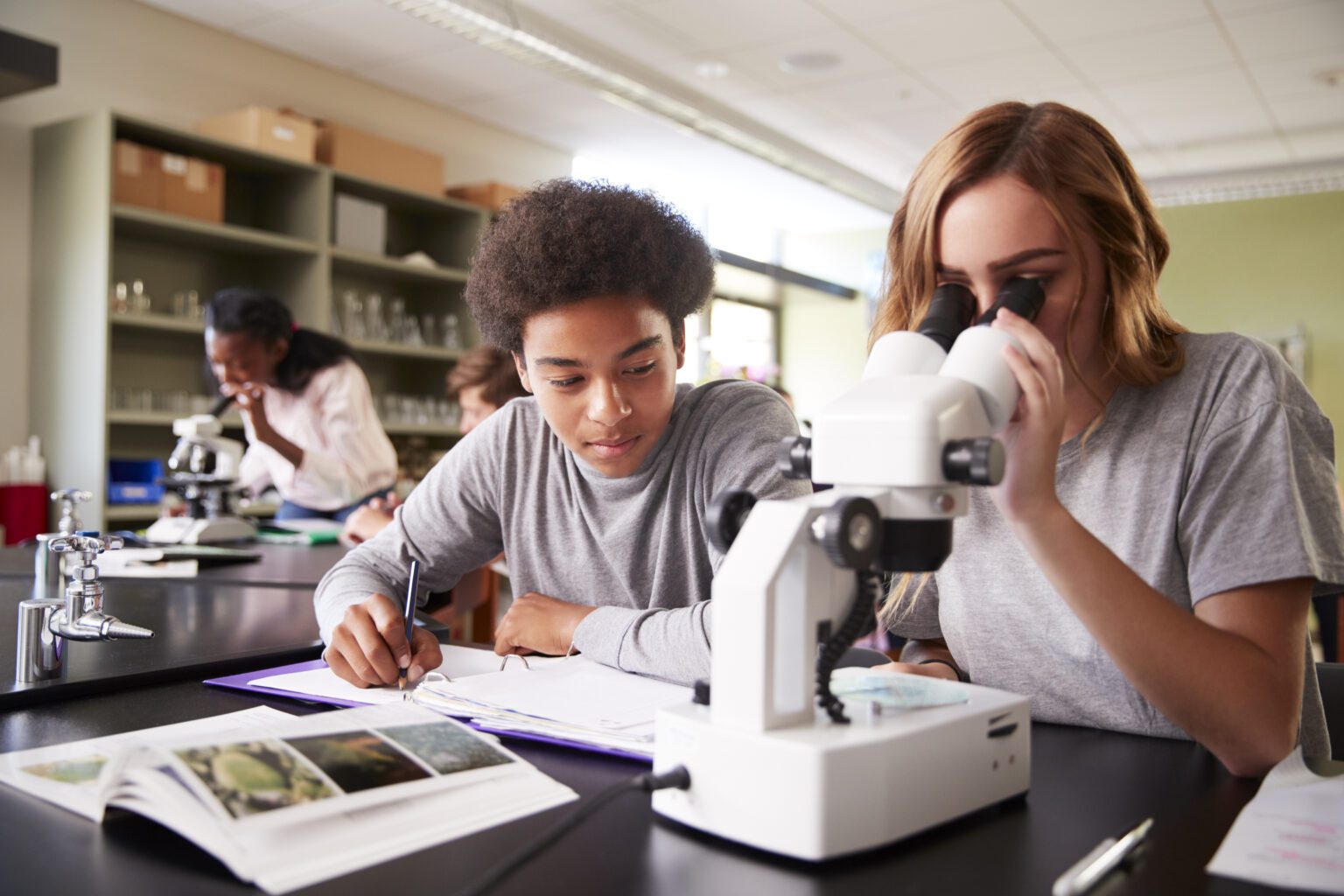 5 Types of Engaging Anatomy and Physiology Activities - Suburban Science