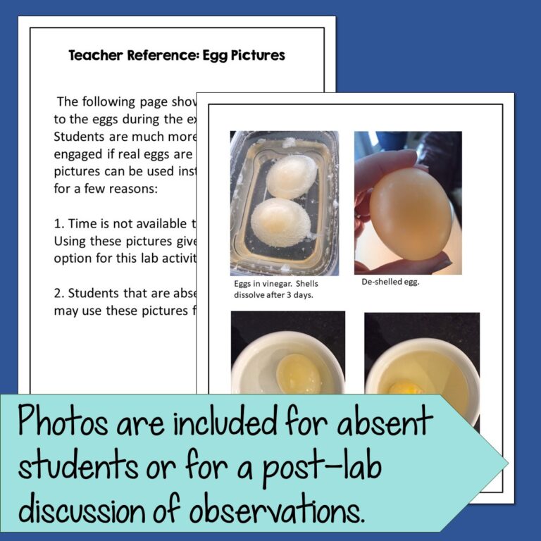 Osmosis Egg Lab Experiment - Suburban Science