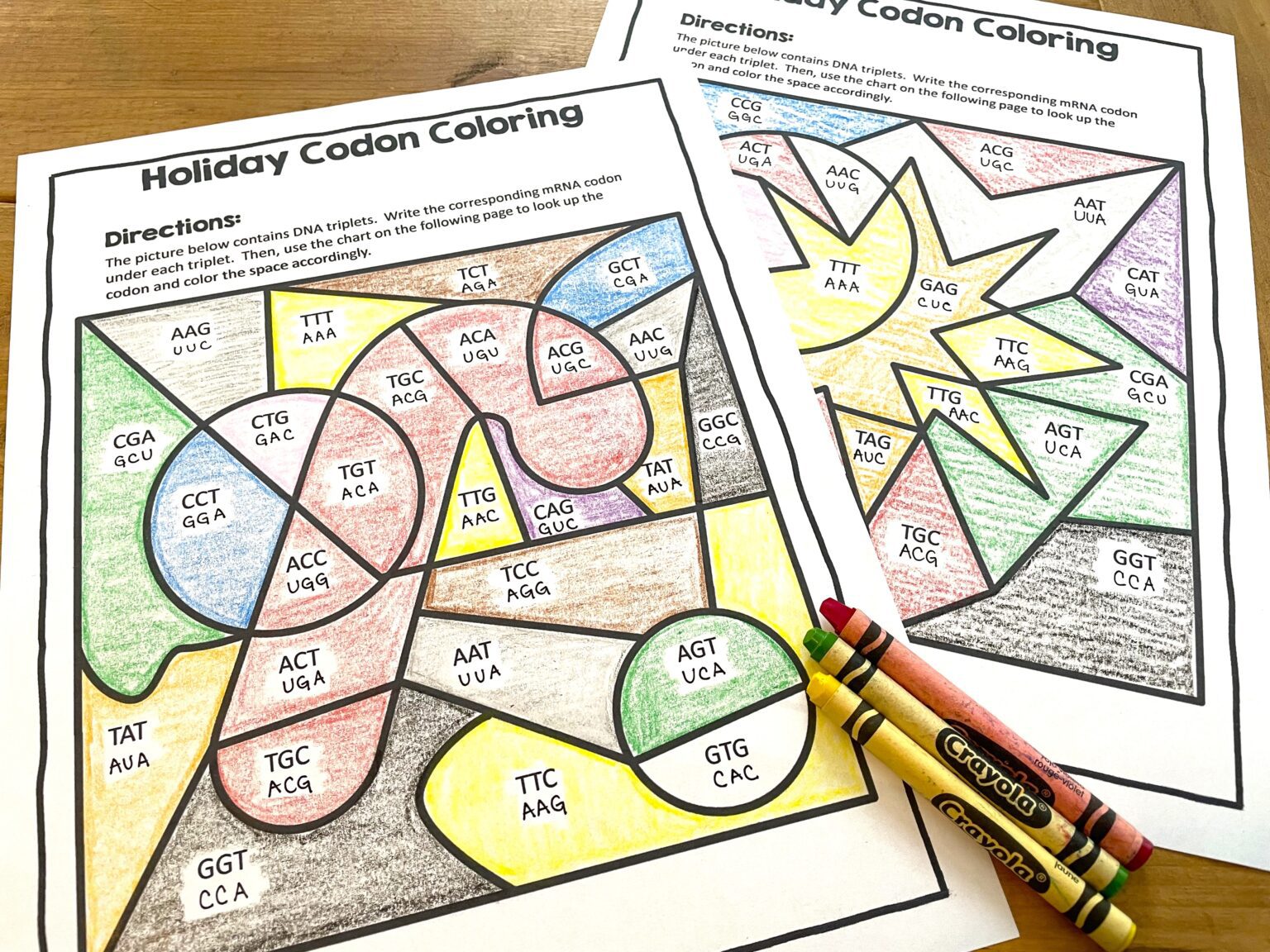 7 Fun Protein Synthesis Activities - Suburban Science