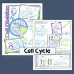 Biology Doodle Notes Bundle - Suburban Science