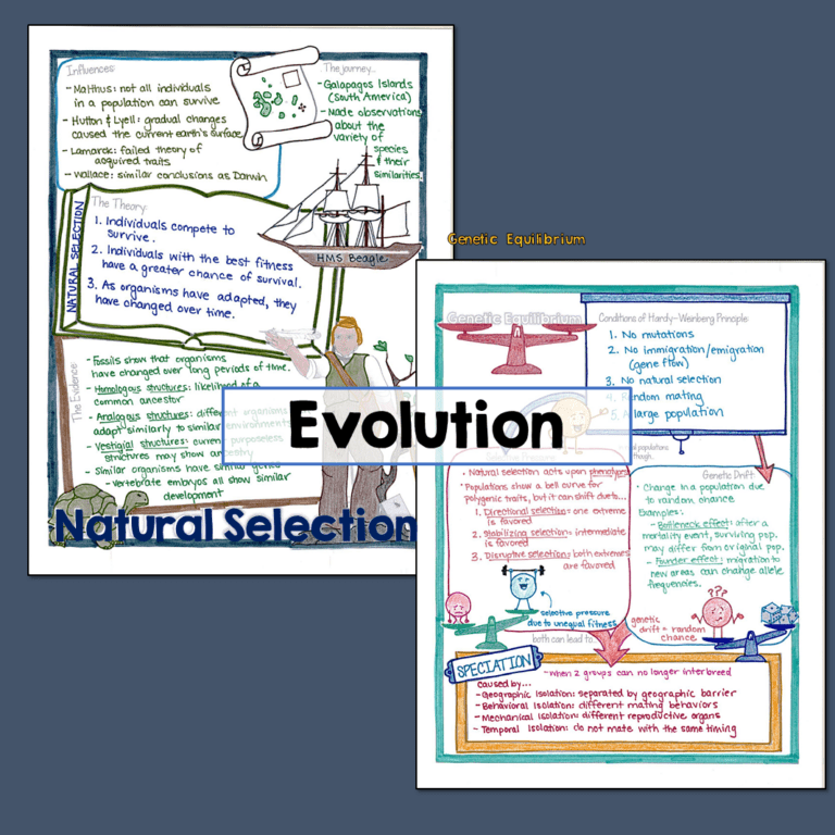 Biology Doodle Notes Bundle - Suburban Science