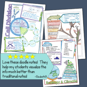 Biology Doodle Notes Bundle - Suburban Science