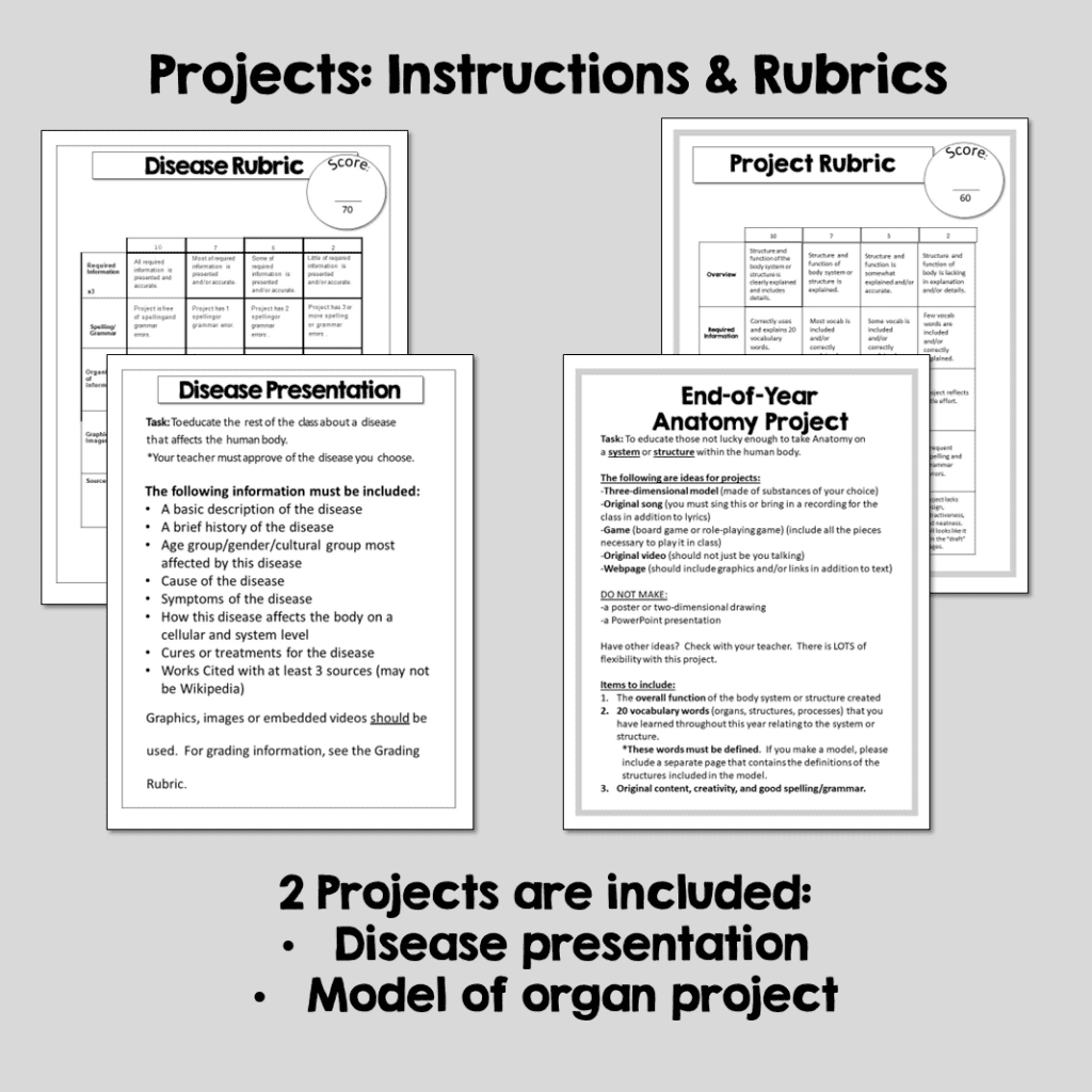 FREE Anatomy & Physiology Scope and Sequence - Suburban Science