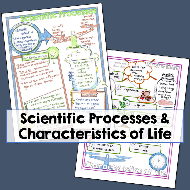 Biology Doodle Notes Bundle - Suburban Science