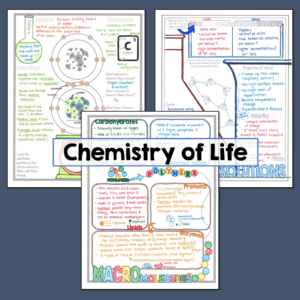 Biology Doodle Notes Bundle - Suburban Science