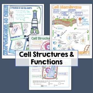 Biology Doodle Notes Bundle - Suburban Science