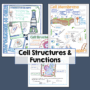 Biology Doodle Notes Bundle - Suburban Science