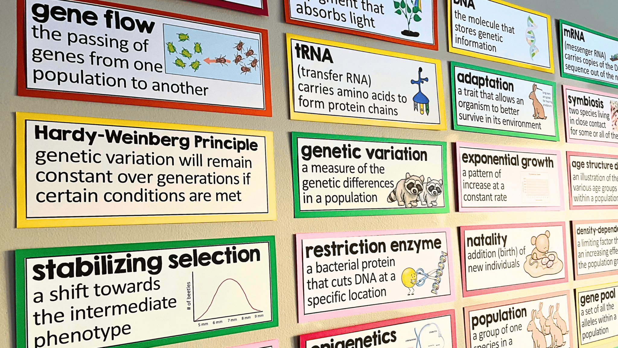 How to Plan Your Biology EOC Review - Suburban Science