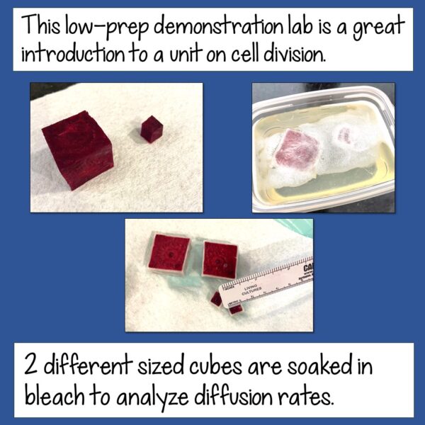 Cell Size Lab Demonstration- Diffusion and the Cell Cycle - Suburban ...